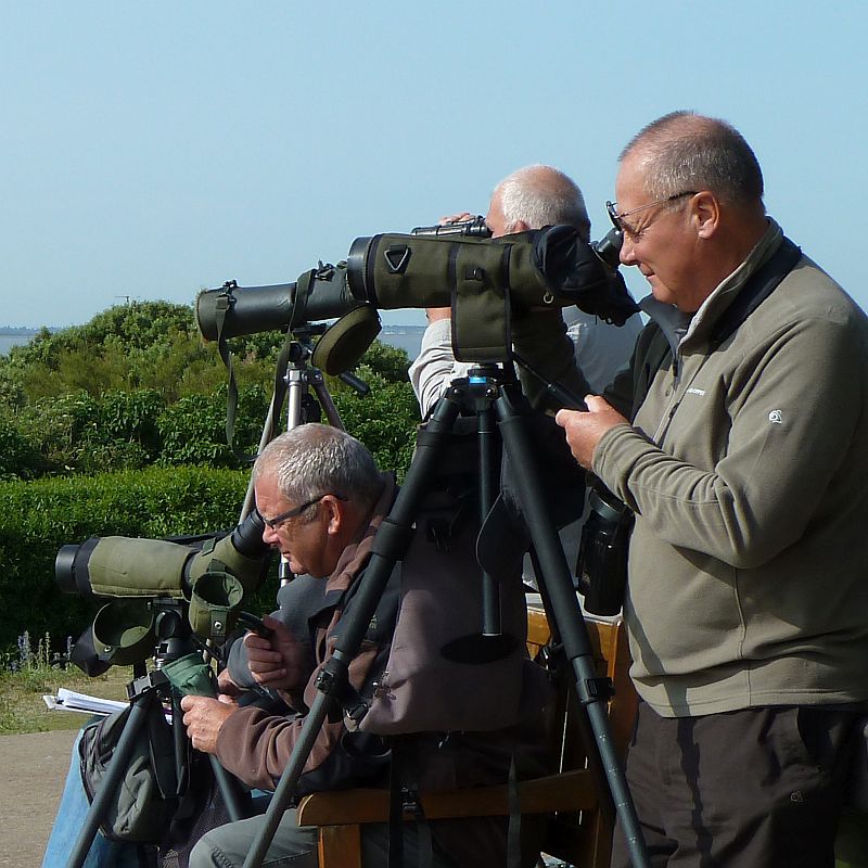 Bird Observatory Arrives - Destination Landguard Suffolk